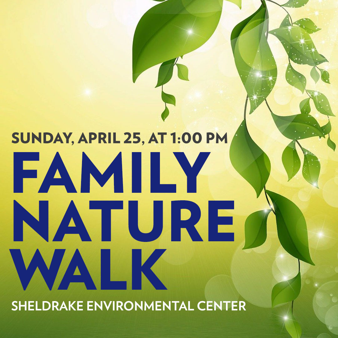 Family Nature Walk | Westchester Jewish Center - Conservative Synagogue ...