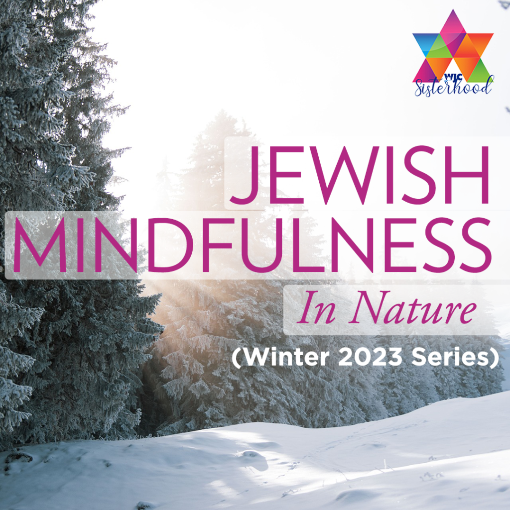 WJC Sisterhood: Jewish Mindfulness in Nature | Westchester Jewish ...